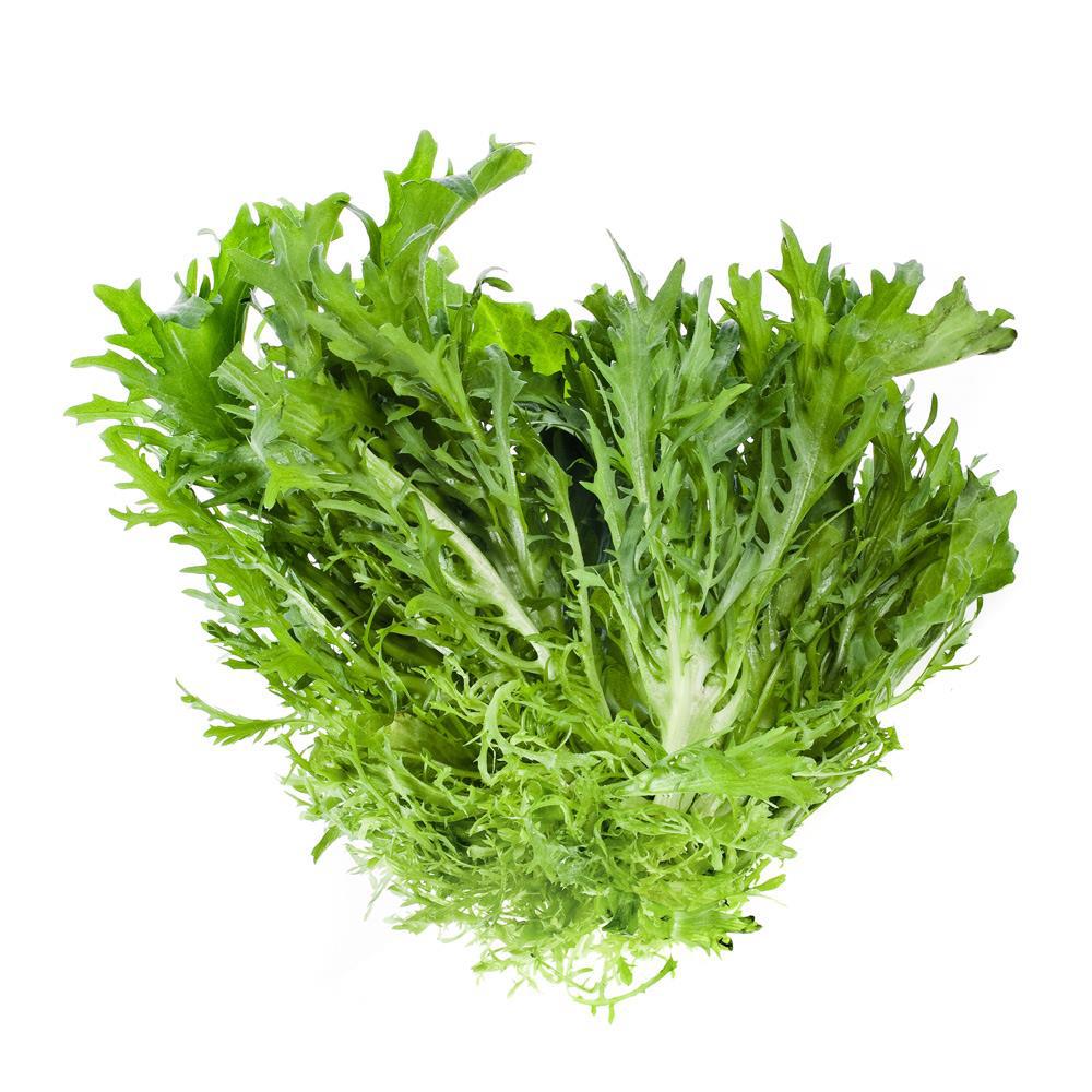 Chicoria Unidade - Super Veneza Guará II