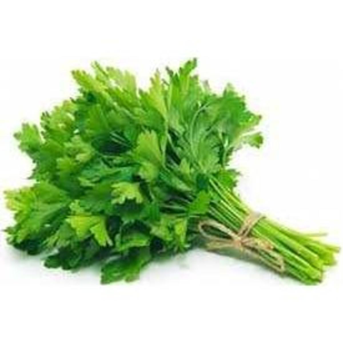 Coentro Maço - Super Veneza Guará II